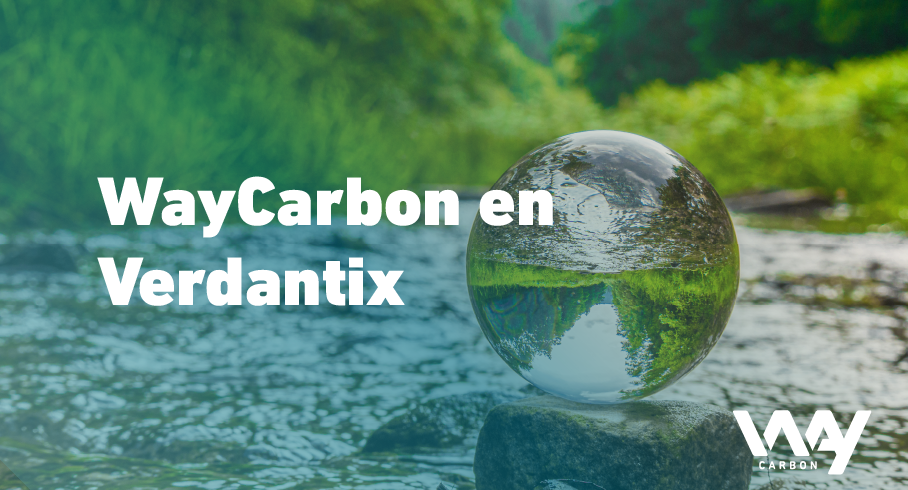 Las Soluciones De WayCarbon Son Citadas Por Verdantix Entre Las ...