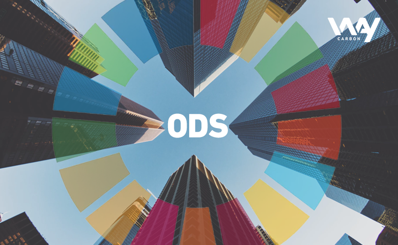 Como Os ODS Vêm Sendo Incorporados Pelas Empresas?