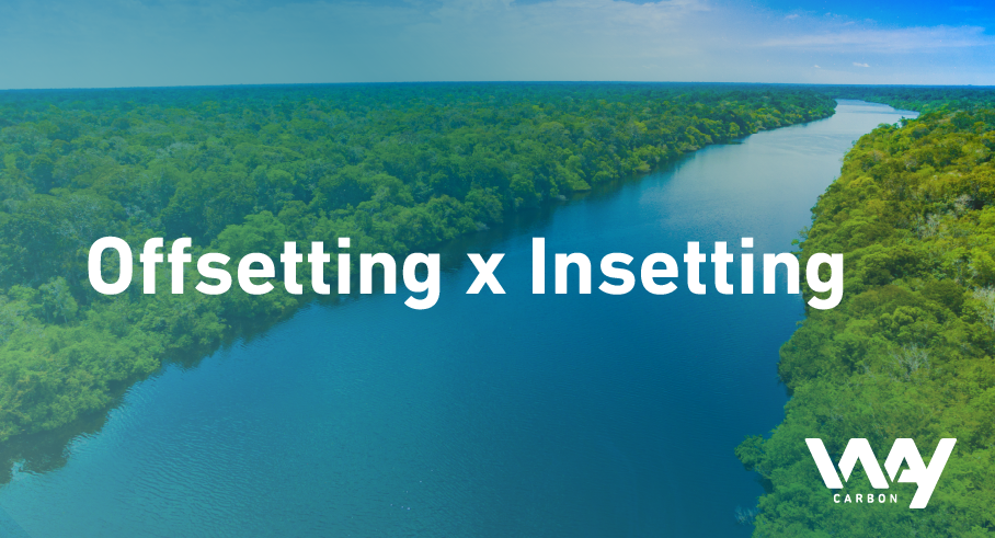 Offsetting X Insetting: Como Definir Uma Boa Estratégia? - WayCarbon