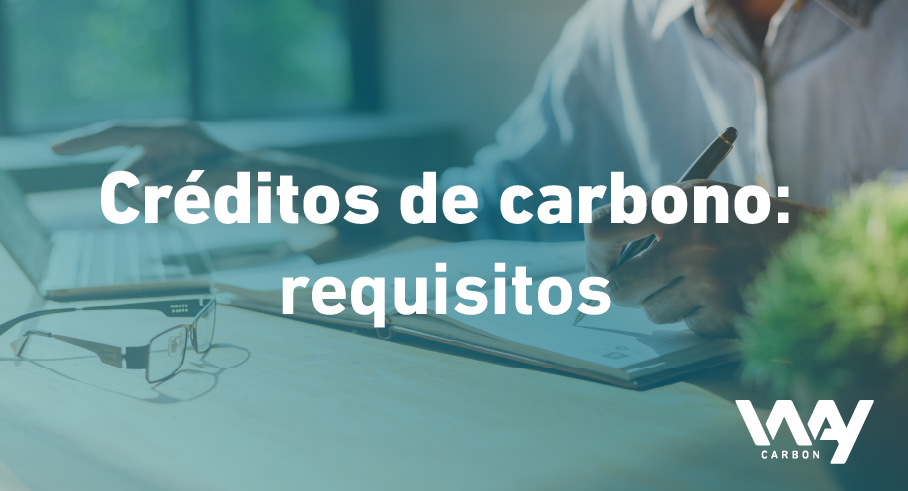 O Que Torna Um Projeto Elegível Para Gerar Créditos De Carbono? - WayCarbon