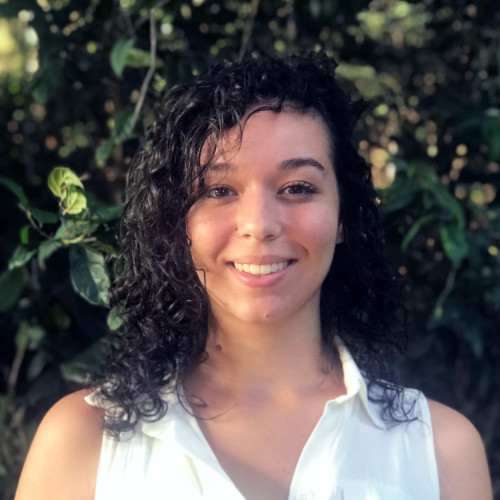 O Que é A Metodologia MRV Em Um Planejamento Climático? - WayCarbon