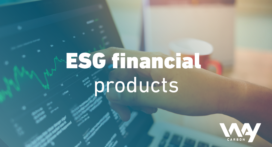 How Is Carried Out The Study To Assess The Feasibility Of An ESG ...