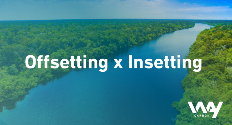 Offsetting X Insetting: How To Define A Good Strategy? - WayCarbon