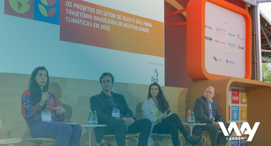 Waycarbon Conducts An Unprecedented Mapping Of Emissions From The ...