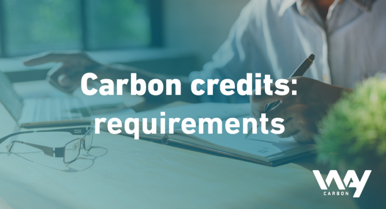 What Are The Prerequisites For Eligibility Of A Carbon Credit? - WayCarbon