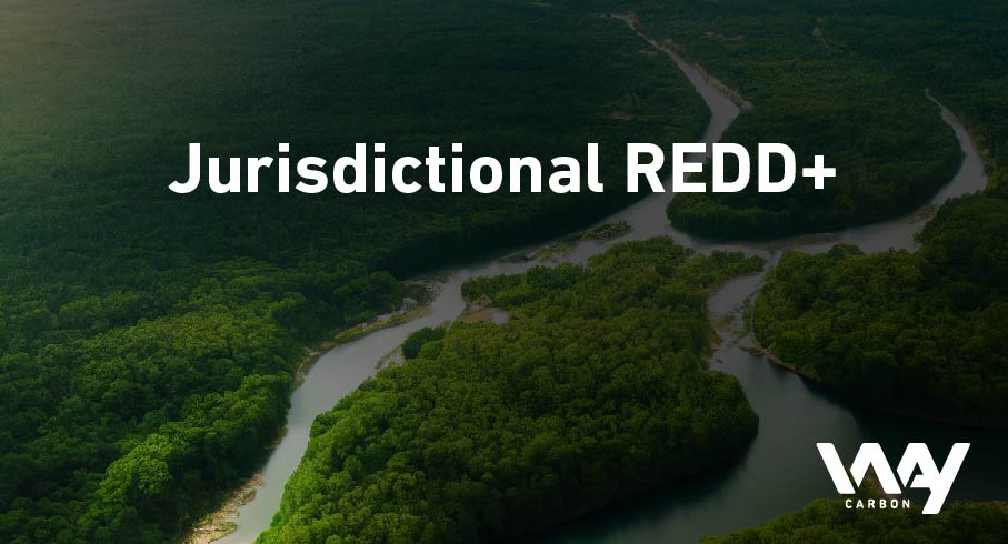 Advantages And Challenges Of The Jurisdictional REDD+approach - WayCarbon