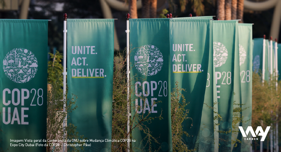 COP28 Marks Historic Progress Toward Global Decarbonization - WayCarbon
